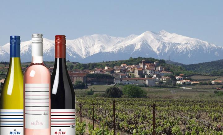 Vin fra Wine.dk - en del af Vinens Verden A/S i Odense